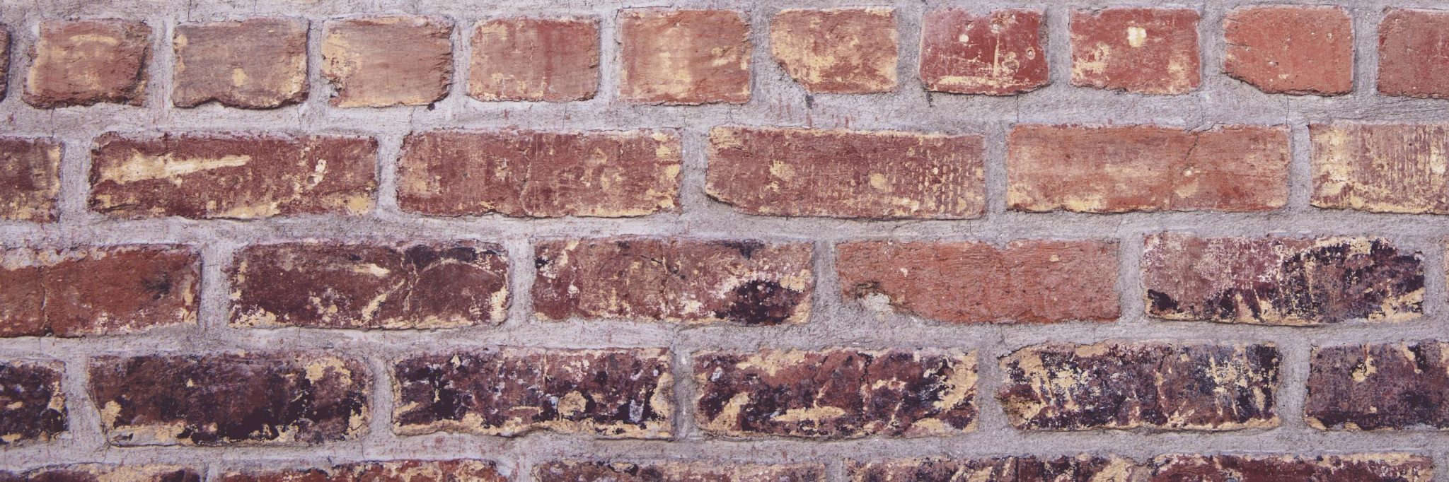 Understanding Wall Types: A Key to Successful Vinyl Applications